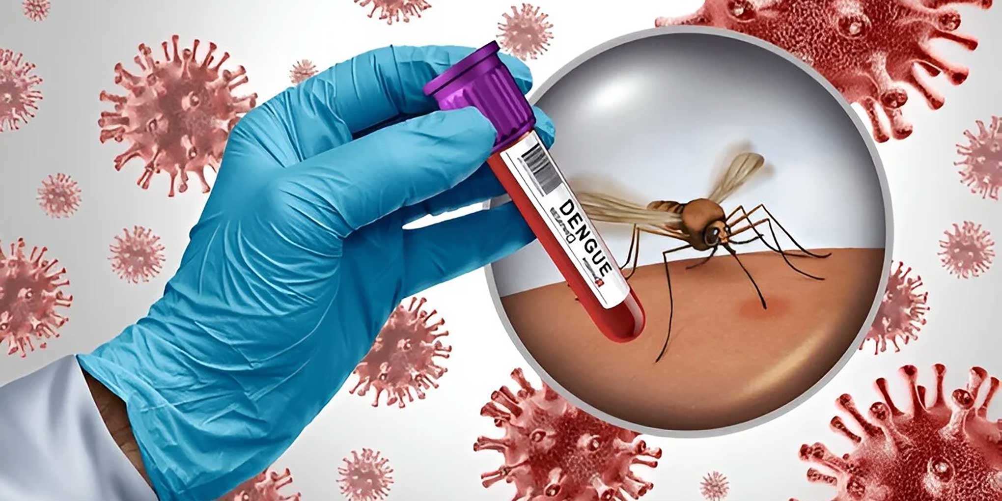 Denga groznica - uzrok, simptomi, liječenje i prevencija | vasezdravlje.com