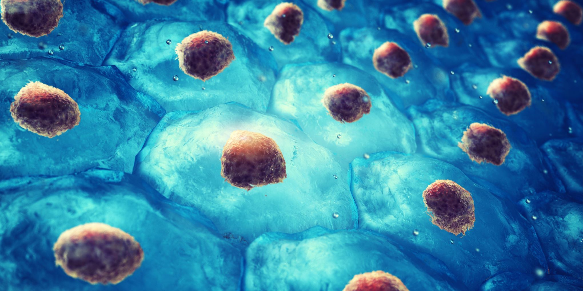 Matične stanice - mogućnosti liječenja | vasezdravlje.com