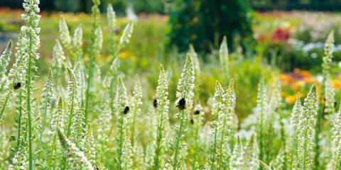 Suhoća spolovila - nelagoda koja tišti | vasezdravlje.com