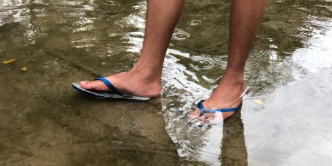 Trihineloza - simptomi i liječenje | vasezdravlje.com