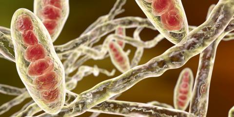 Svrbež kože, pruritus - uzroci, simptomi i liječenje | vasezdravlje.com